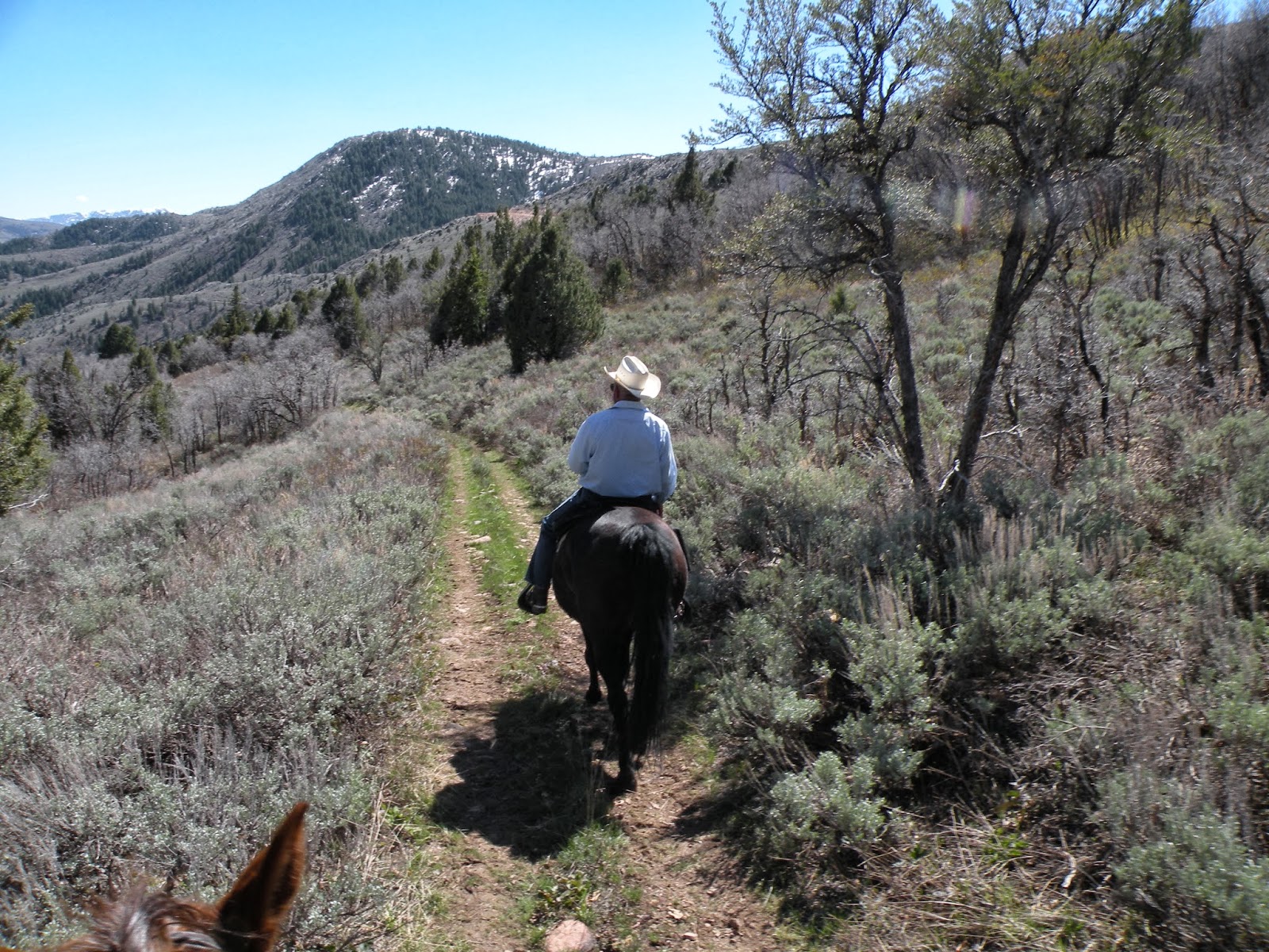 Dream Packer Trail Adventures: Cobble Creek, South Fork, Utah