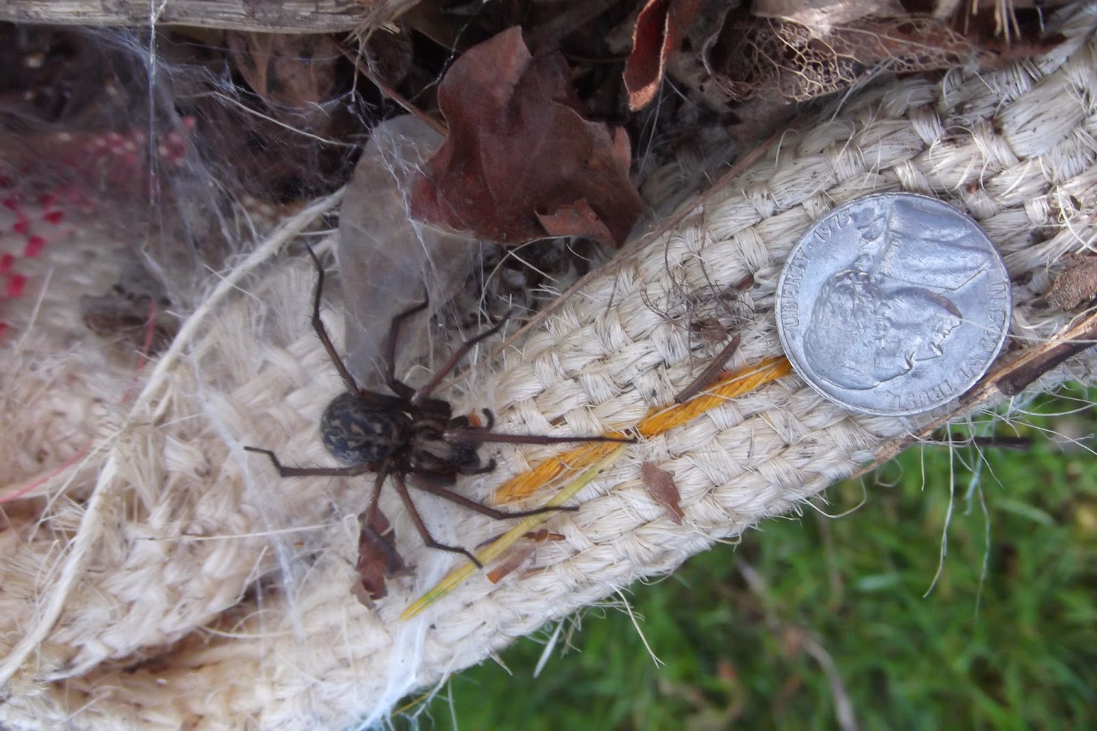 Elder Kyle Garr - Tacoma Washington Mission