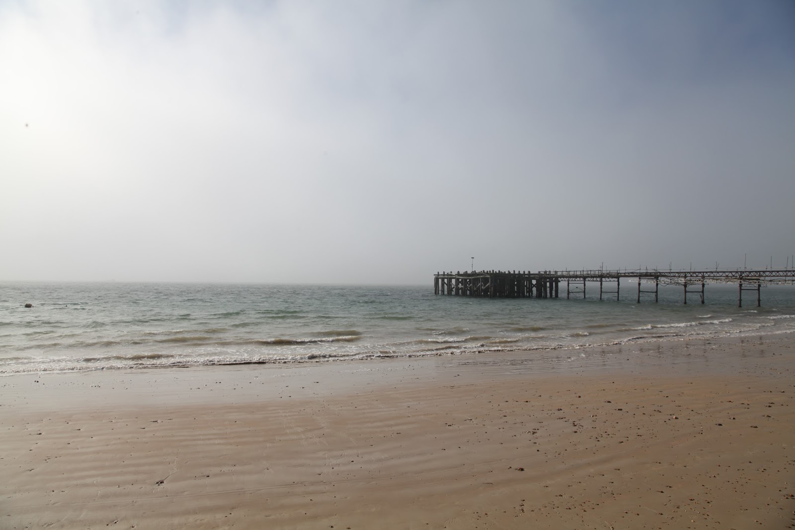 spring beach | Journal