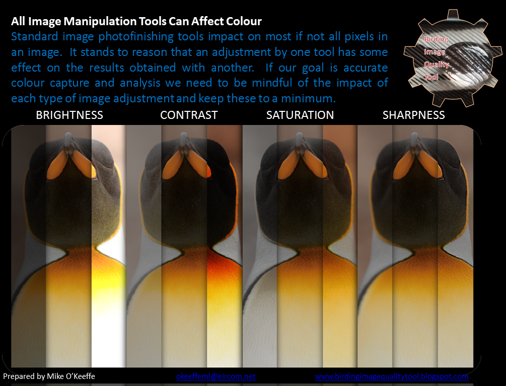 Birding Image Quality Tool: Colour - Pros and Cons of Boosting Saturation