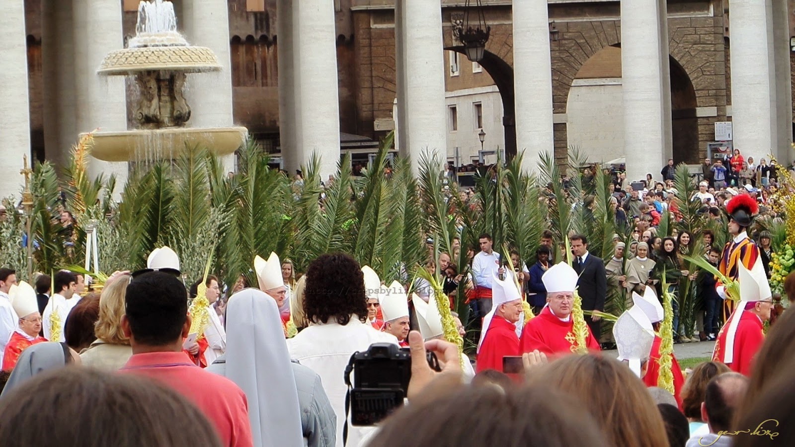 Palm Sunday in Vatican | Trips... by Liz