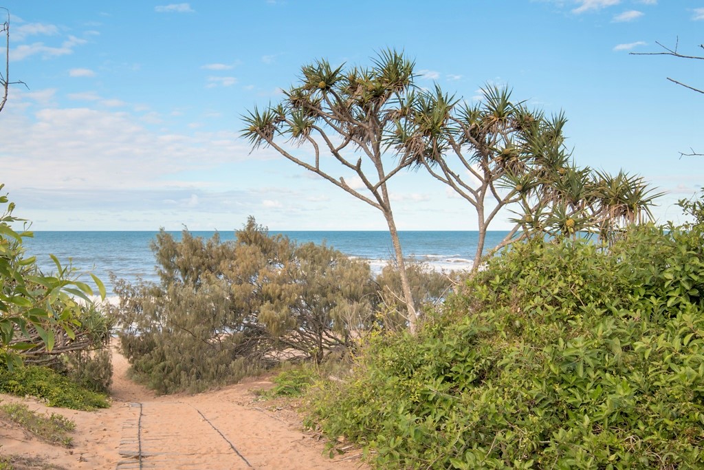 National Park Odyssey: Wreck Rock Campground and Middle Rock Campground ...