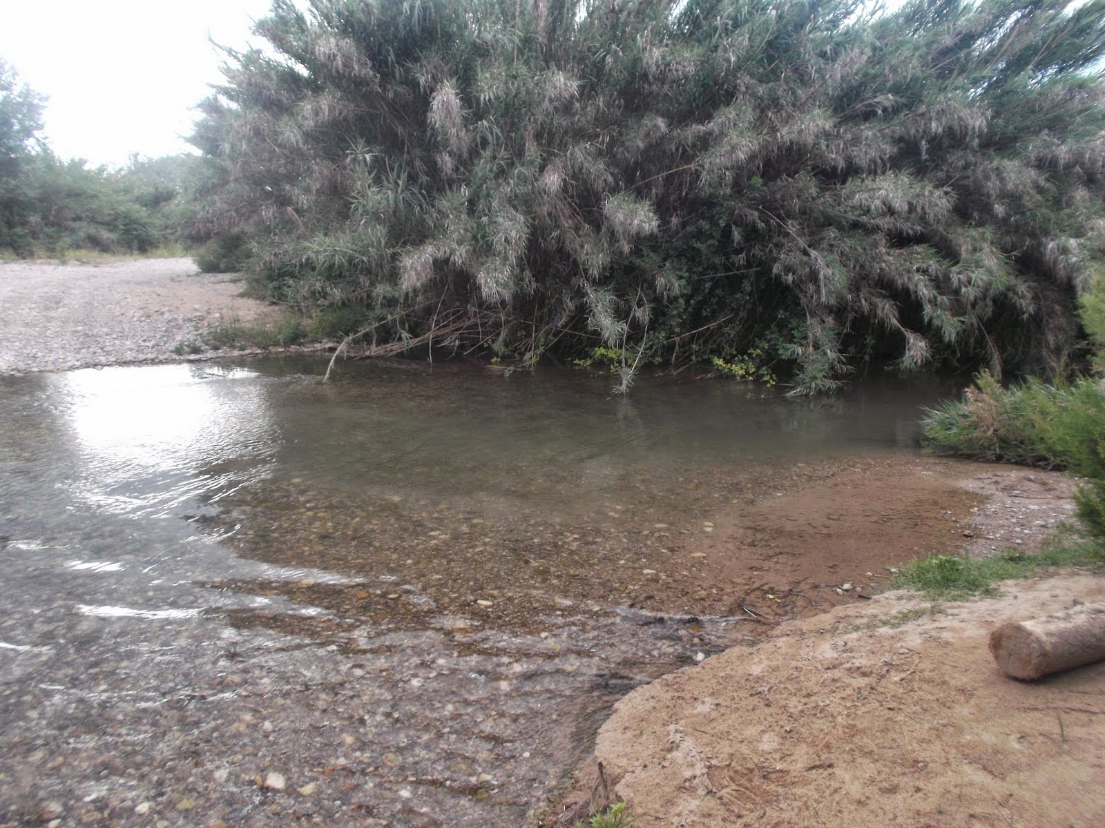 Mis trabajos: Río Víboras
