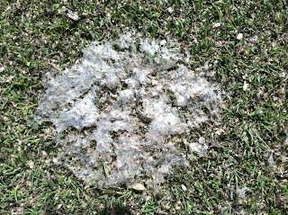 Marquette Golf Club Grounds