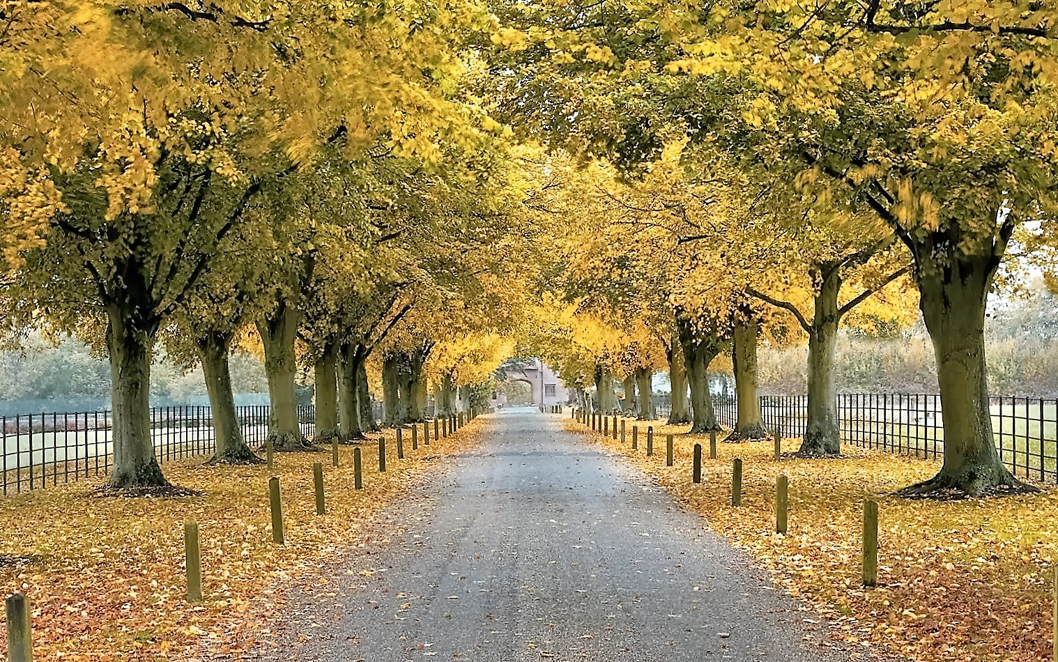 Fieggentrio: Een straat, weg of laan. Wat is het verschil?