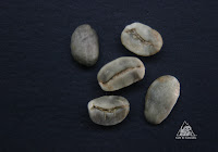 DEFECTOS DEL CAFE - | Coffee Media ️