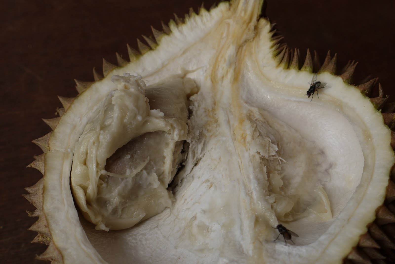 Sawpo's: Johor Baru (JB) Day Trip: Durian Buffet