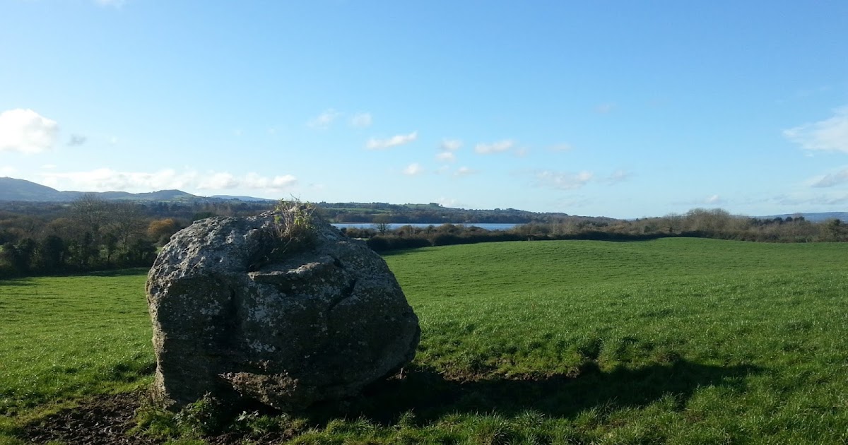 The Tipperary Antiquarian: The Cats Stone of Tipperary