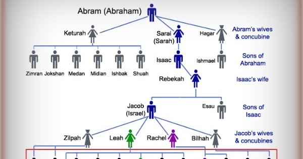 Samuel and Eunice Bible Study Topics: Abraham's family tree