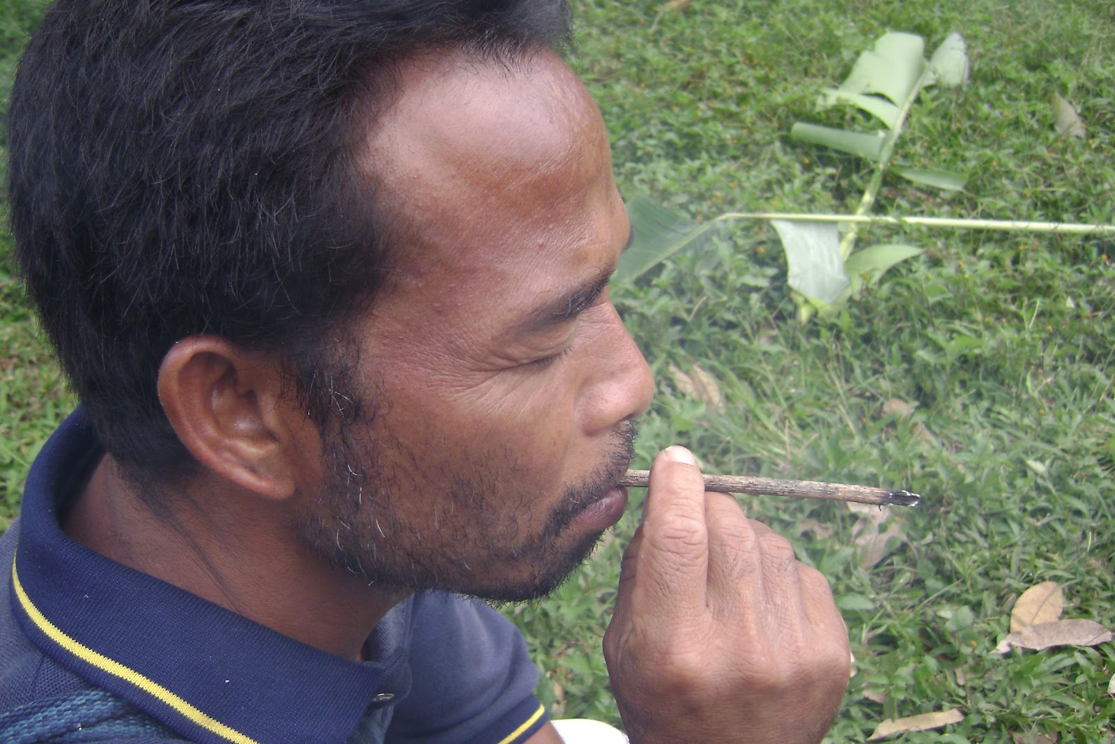 Life About Research: GAMBAR-GAMBAR KAJIAN PERUBATAN TRADISIONAL ...