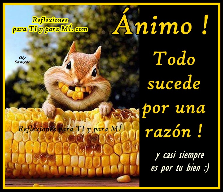 Reflexiones para TI y para MÍ: ** Ánimo! Todo sucede por una razón! (y ...