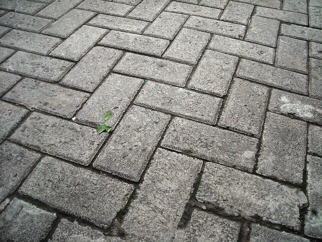 PAVING BLOCK PERSEGI | http://pavingblocksurabaya.blogspot.com ...