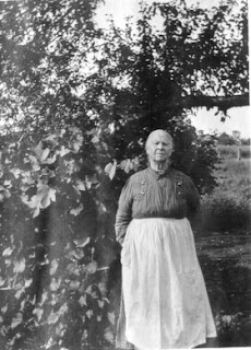 The Thomas Reagan and Margaret Sheehan Family Tree: CATHERINE REGAN AND ...