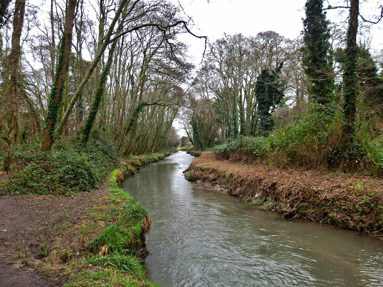 Mike's Cornwall: A SHORT WALK ALONG THE PENTEWAN VALLEY TRAIL