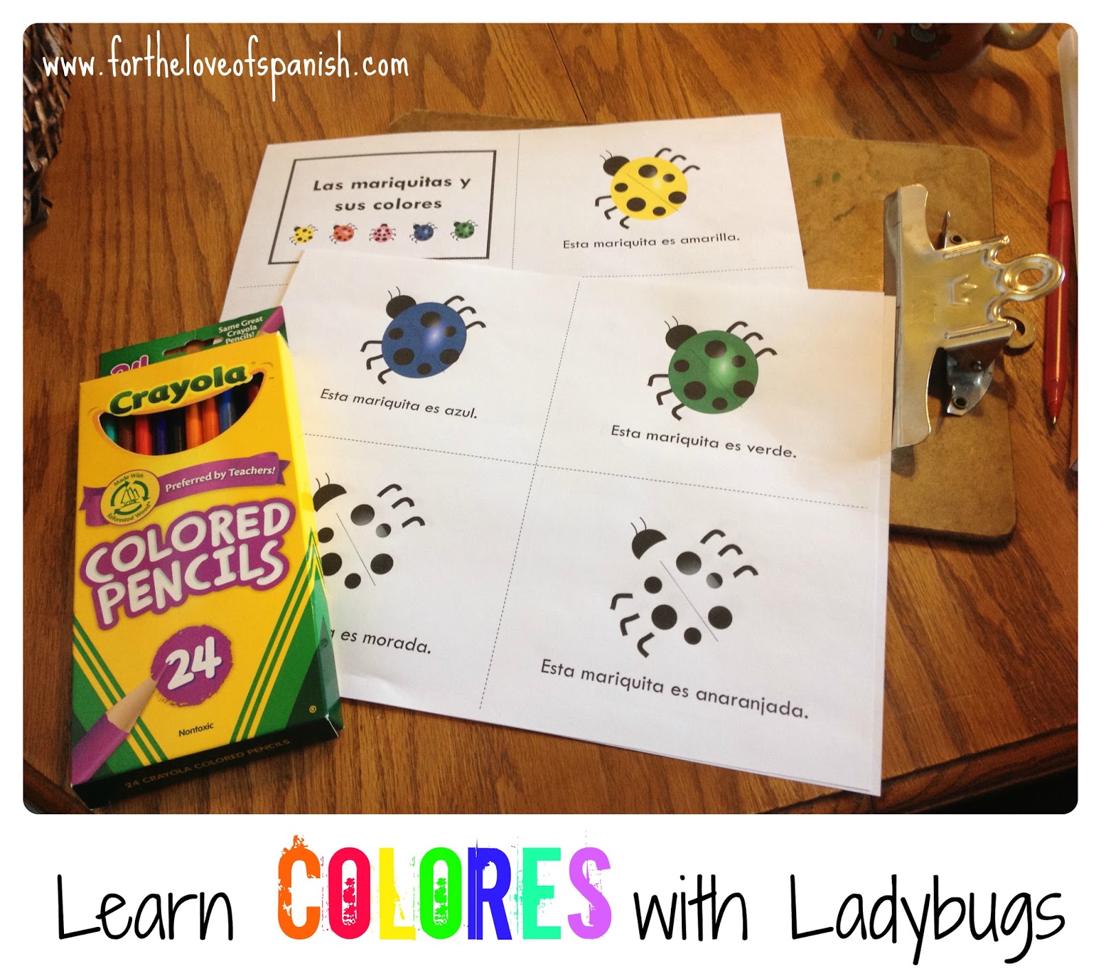 Learn Spanish with Ladybugs // Las mariquitas y sus colores | For the ...