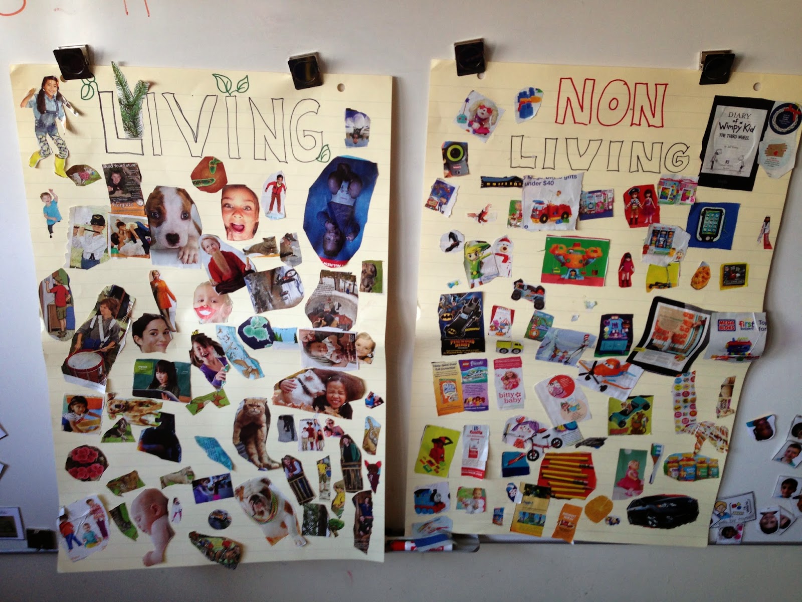 Tales From a K-1 Classroom: Living and Non-Living