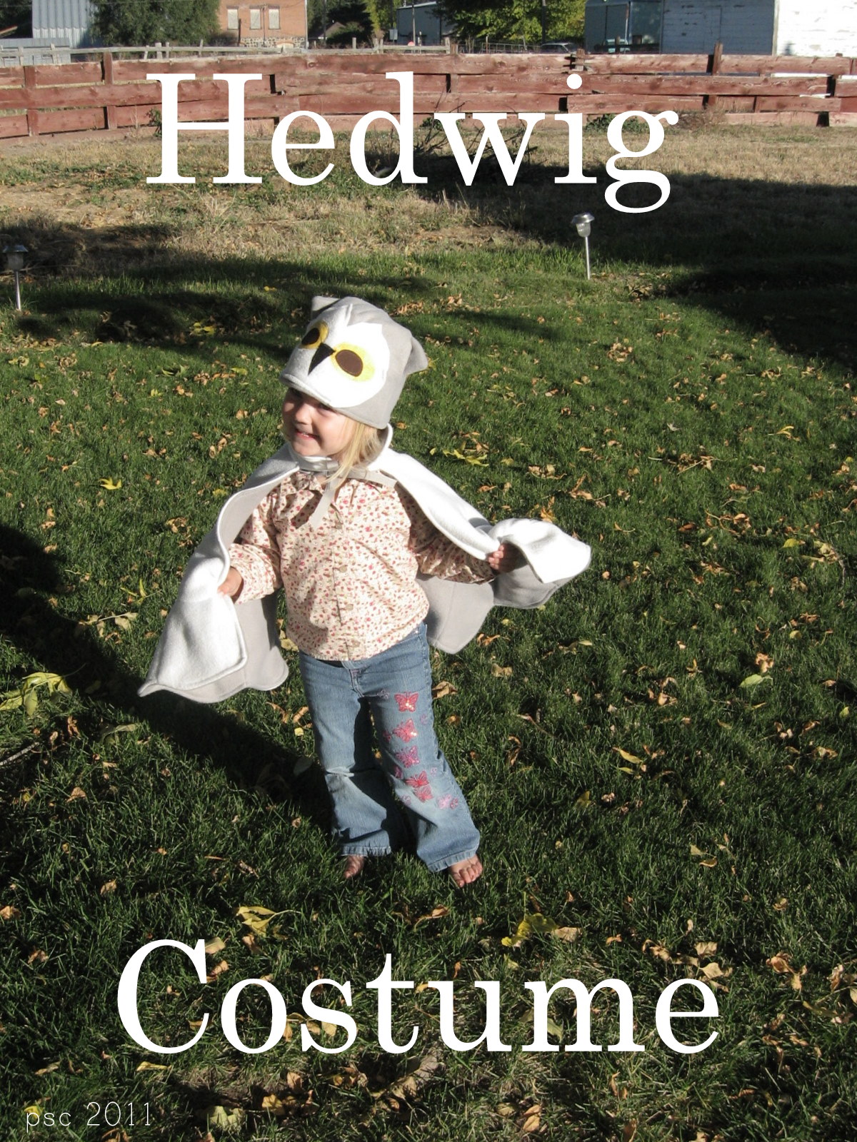 Pickup Some Creativity: Hedwig Costume