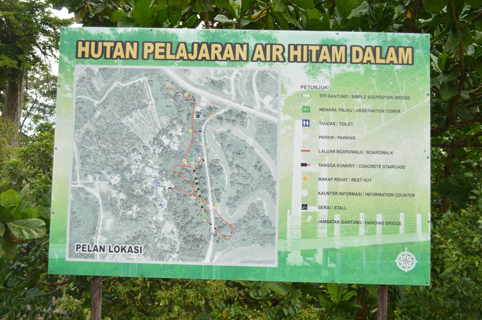 Lifez Like Tat: Hutan Pelajaran Air Hitam Dalam (Air Hitam Dalam ...