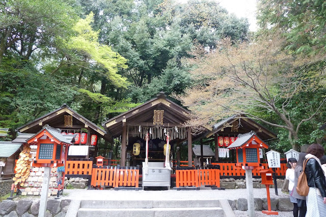 Travel - my love: Bamboo Forest, must not miss if you will visit ...