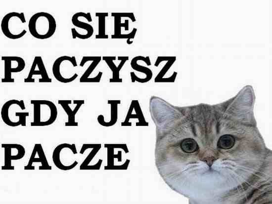 Co ty, paczysz?!