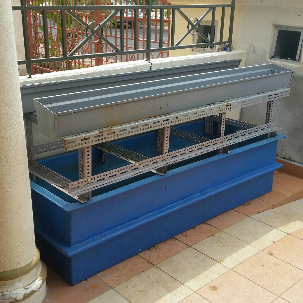 Affnan's Aquaponics: Potted Media Base Gutter Growbed Siphon Flood & Drain.