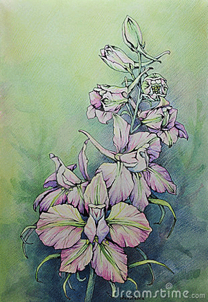 Wow 29+ Gambar Bunga Anggrek Pensil - Gambar Bunga Indah