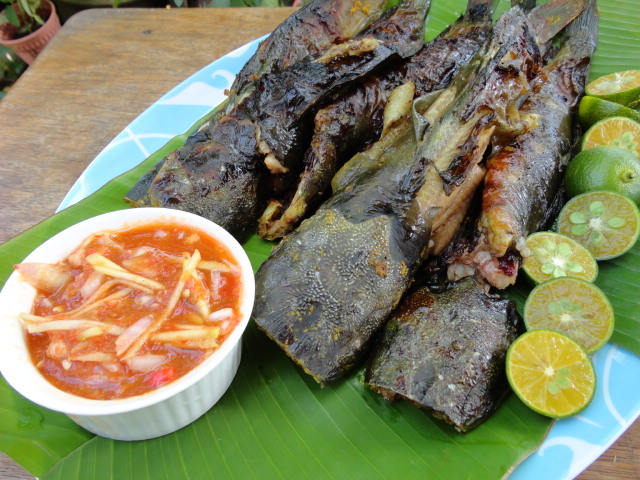 Cook 4 You & Me......: Ikan Keli Bakar dengan Air Asam Mangga-Grilled ...