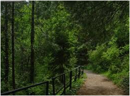 my pakistan: KHYBER PAKHTUNKHWA