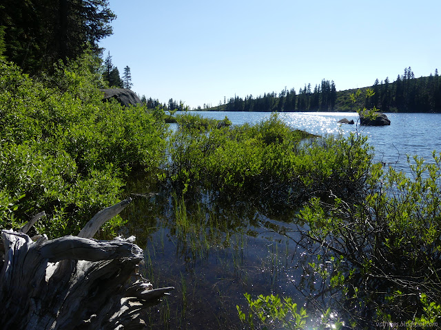 Ukonom: Tickner Benchmark and Ukonom Lake