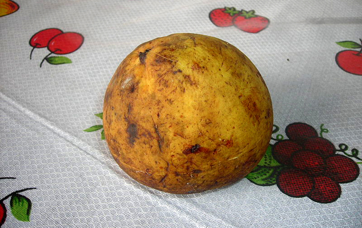 Flavors of Brazil: FRUITS OF BRAZIL - Bacuri