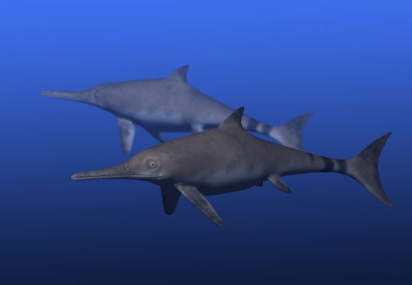 Extinct Animal of the Week: Generations of Ichthyosaurs