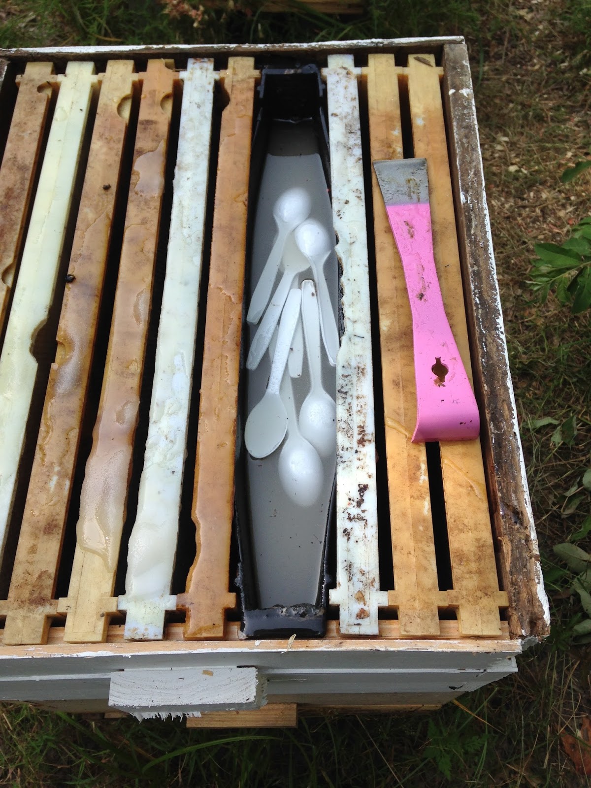 The Bungling Beekeeper's Beekeeping Blog: Bees Can't Swim - Feeding My ...