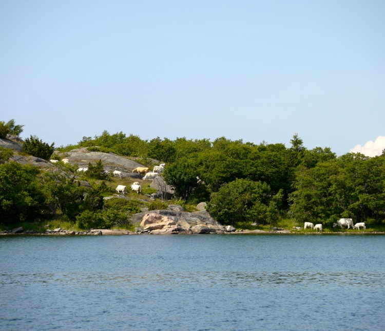 Exploring Kökar, Åland - S/Y Dolphin Dance