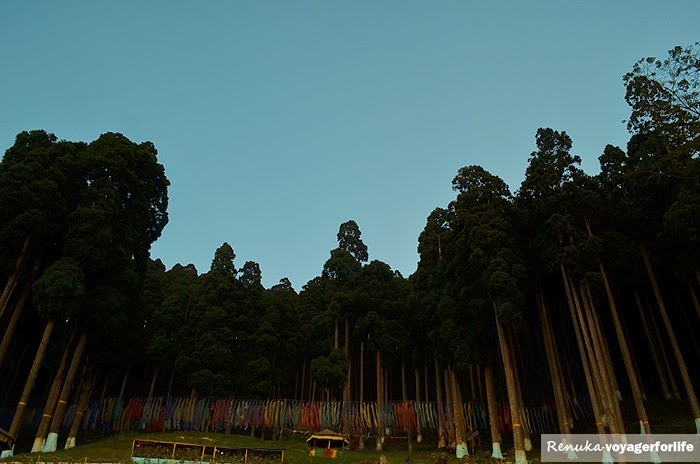 Lamahatta - A Secret Spot For Kangchenjunga - Voyager For Life