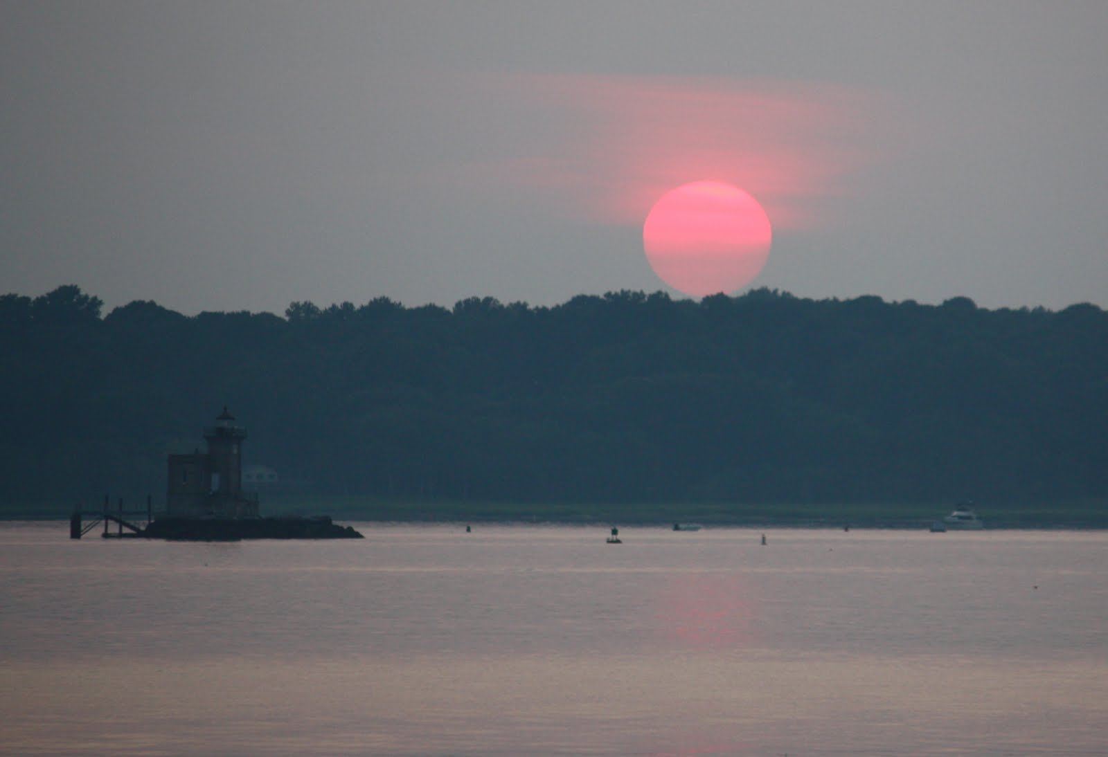 The Cool House: Big Pink Sun