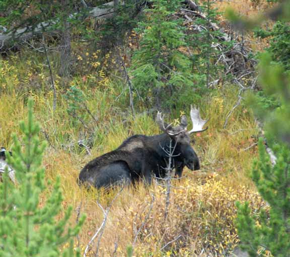 Shirl Ireland's Art Blog: September 2012