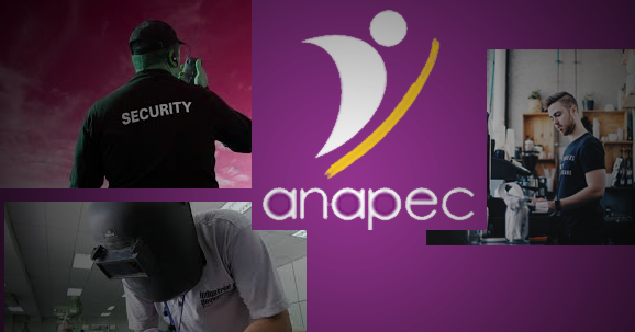 فرص عمل متوفرة عند الوكالة الوطنية لإنعاش التشغيل والكفاءات (أنابيك ...