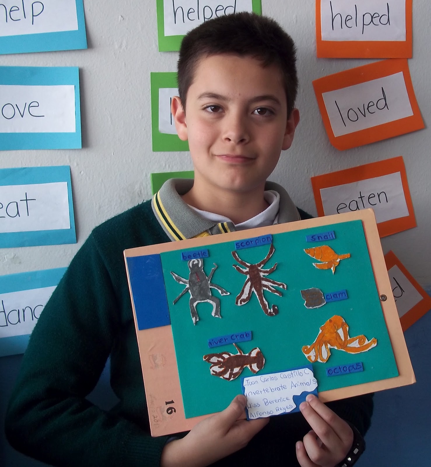 My English Class: 5th grade B Science Project (Invertebrates)