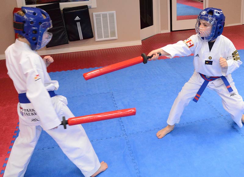 JAPAN KARATE HYERES, école TODOKAI: Sport Chanbara