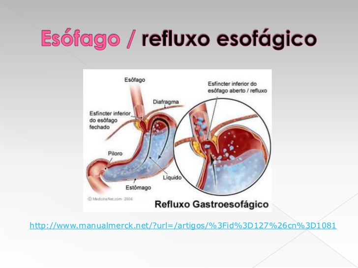SISTEMA DIGESTIVO DIGESTÃO.