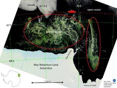 Suburban spaceman: NASA MODIS: Antarctic Algae Bloom Can be Seen from Space