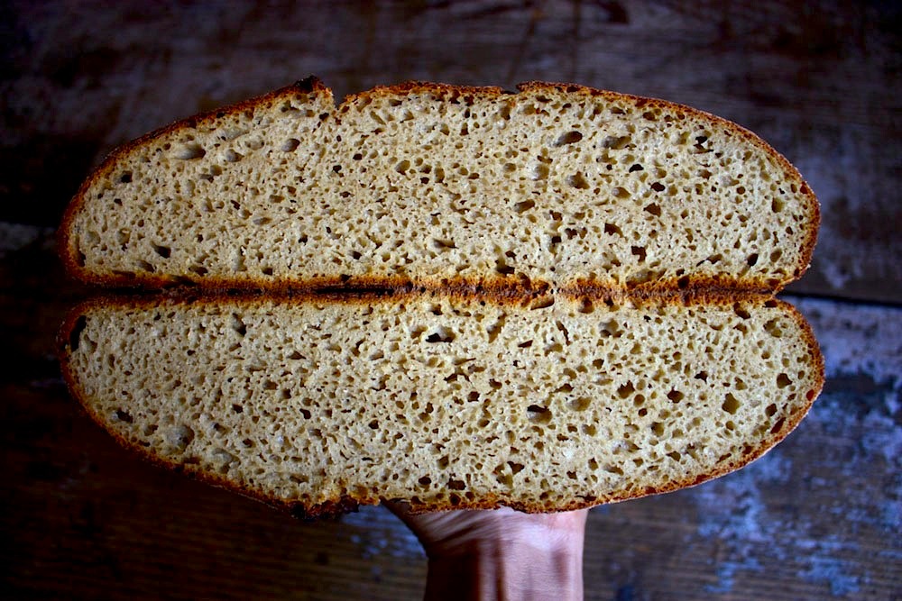 Girl Meets Rye : Pane Siciliano (and A New Michette)