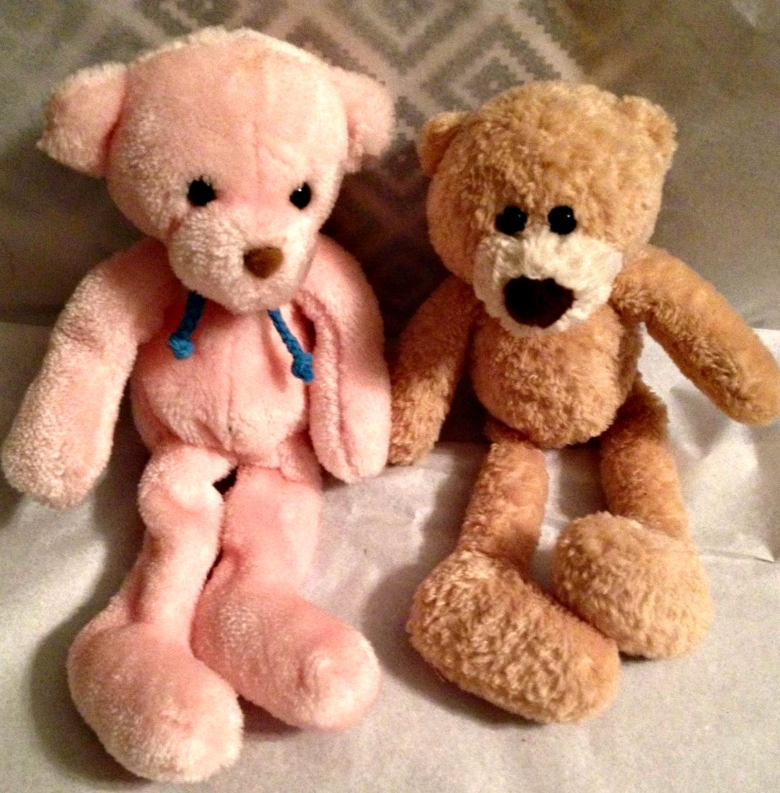 The Teddy Bear Shelter: Teddy Bears Adopted and Traveling to New Mexico