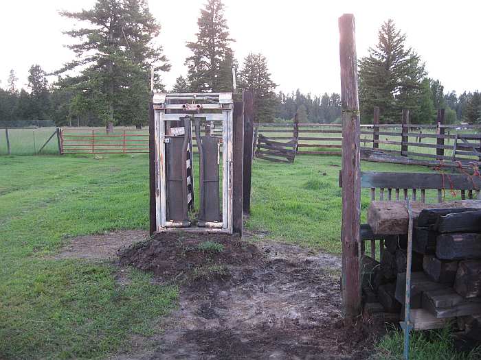 Life among the Tall Pines: Head gate move