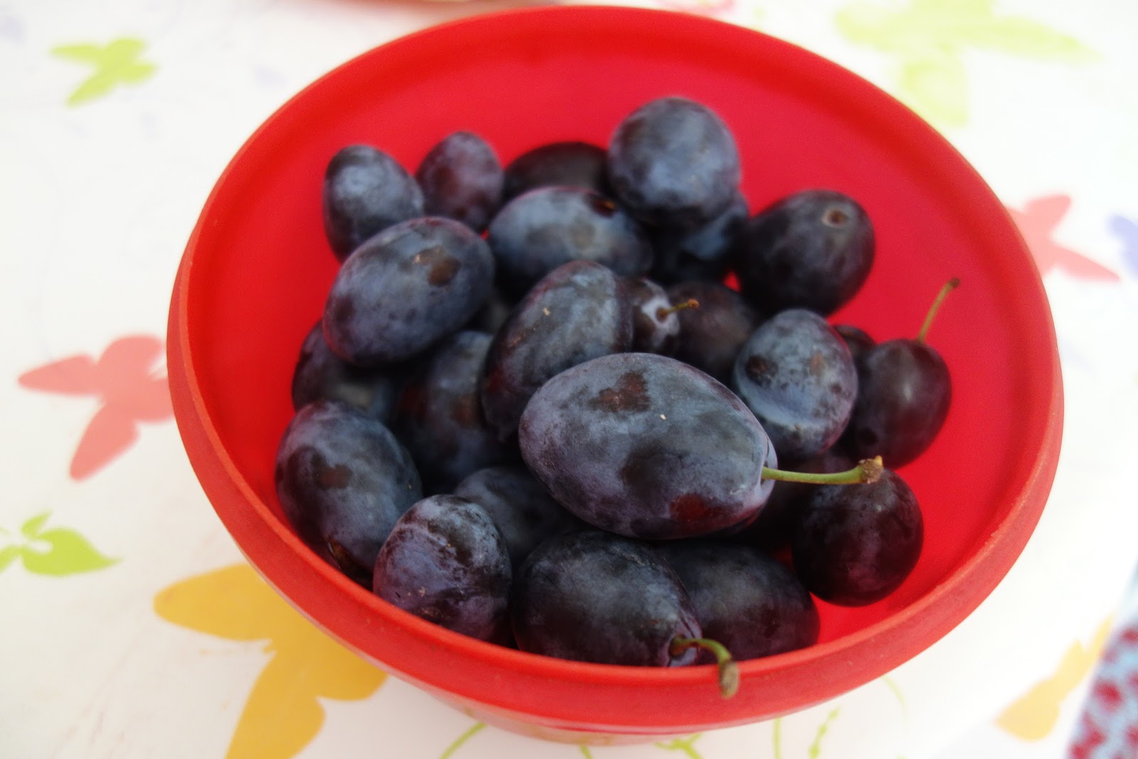 arome-fel-de-fel-amalia: DULCEAȚA BUNICII ( DE PRUNE CU NUCI )