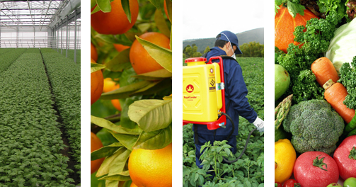 Copia Superagro Catalogo: Inicio