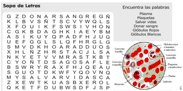 COAGULACIÓN DE LA LA SANGRE Actividad 4: SOPA DE LETRAS ~ Primavera Docente