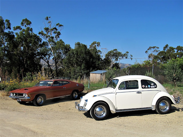 Readers' Photos # 36: Antonia the Beetle