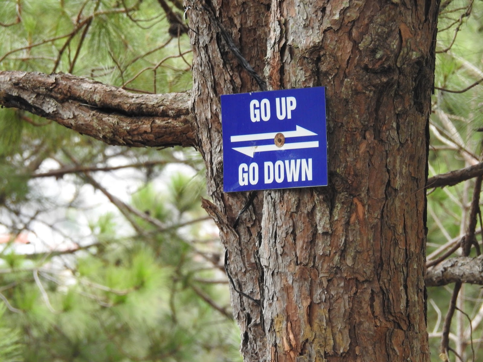 Good Morning Vietnam (GMV): 6 things about Mount Lang Biang you should know