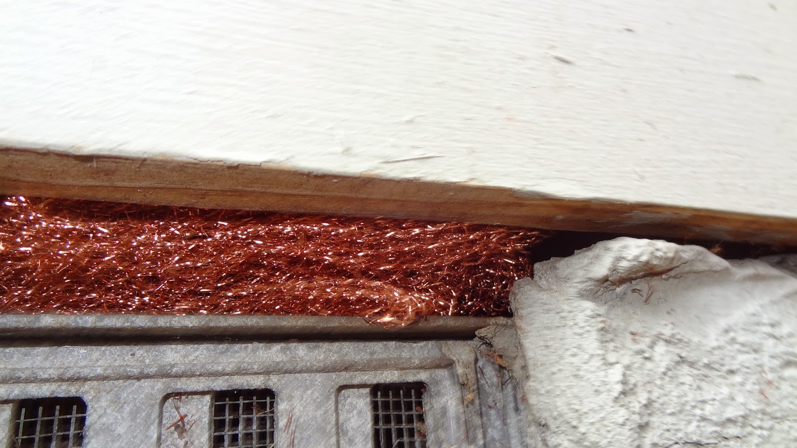 Rodent Exclusion and Rodent Rub Marks - GreenHow Pest and Termite ...